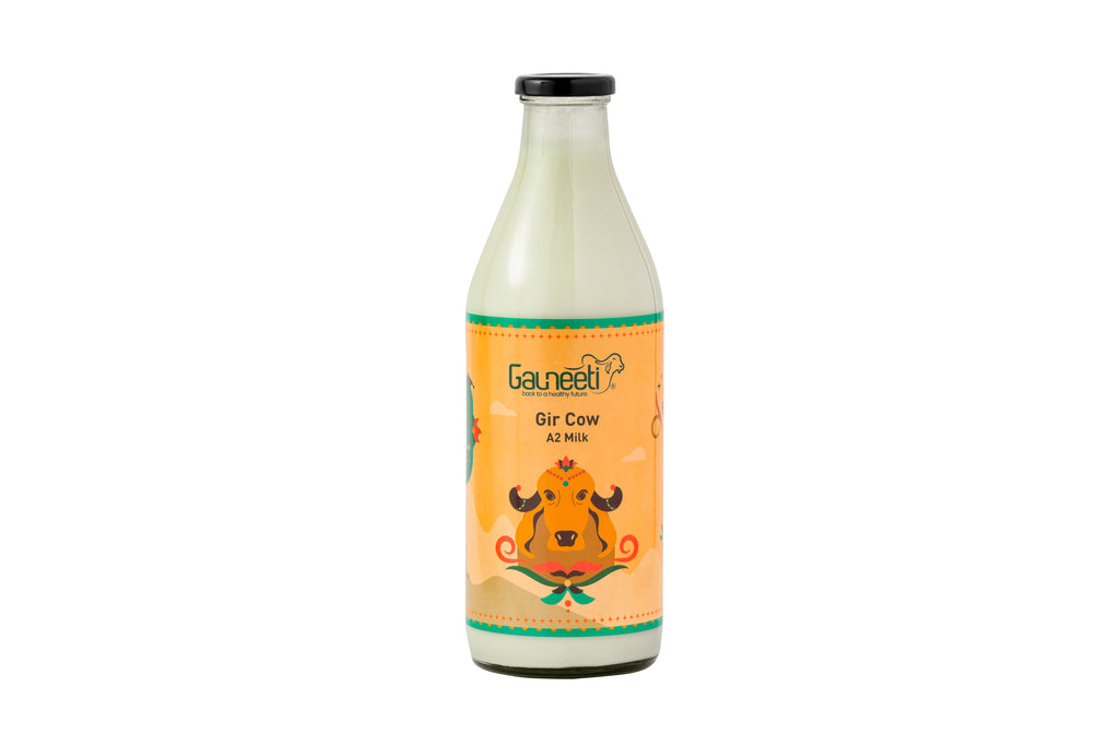 Gir Cow A2 Milk – GauNeeti Organics
